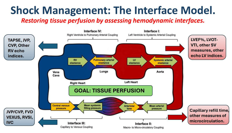 Mastering Septic Shock Management in Emergency Medicine – EM Mastery ...