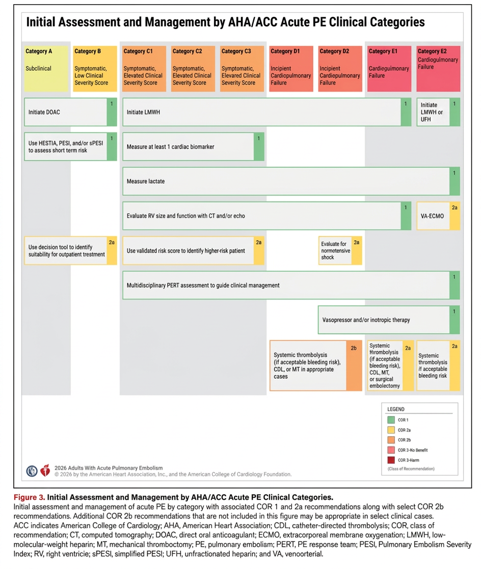 Understanding Pulmonary Embolism: A Spectrum of Care Strategies